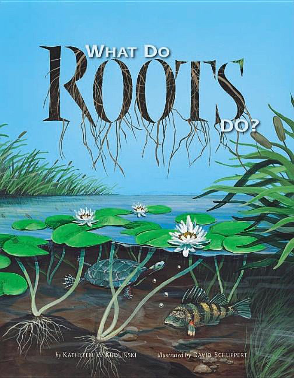 What Do Roots Do? (Paperback) - Walmart.com