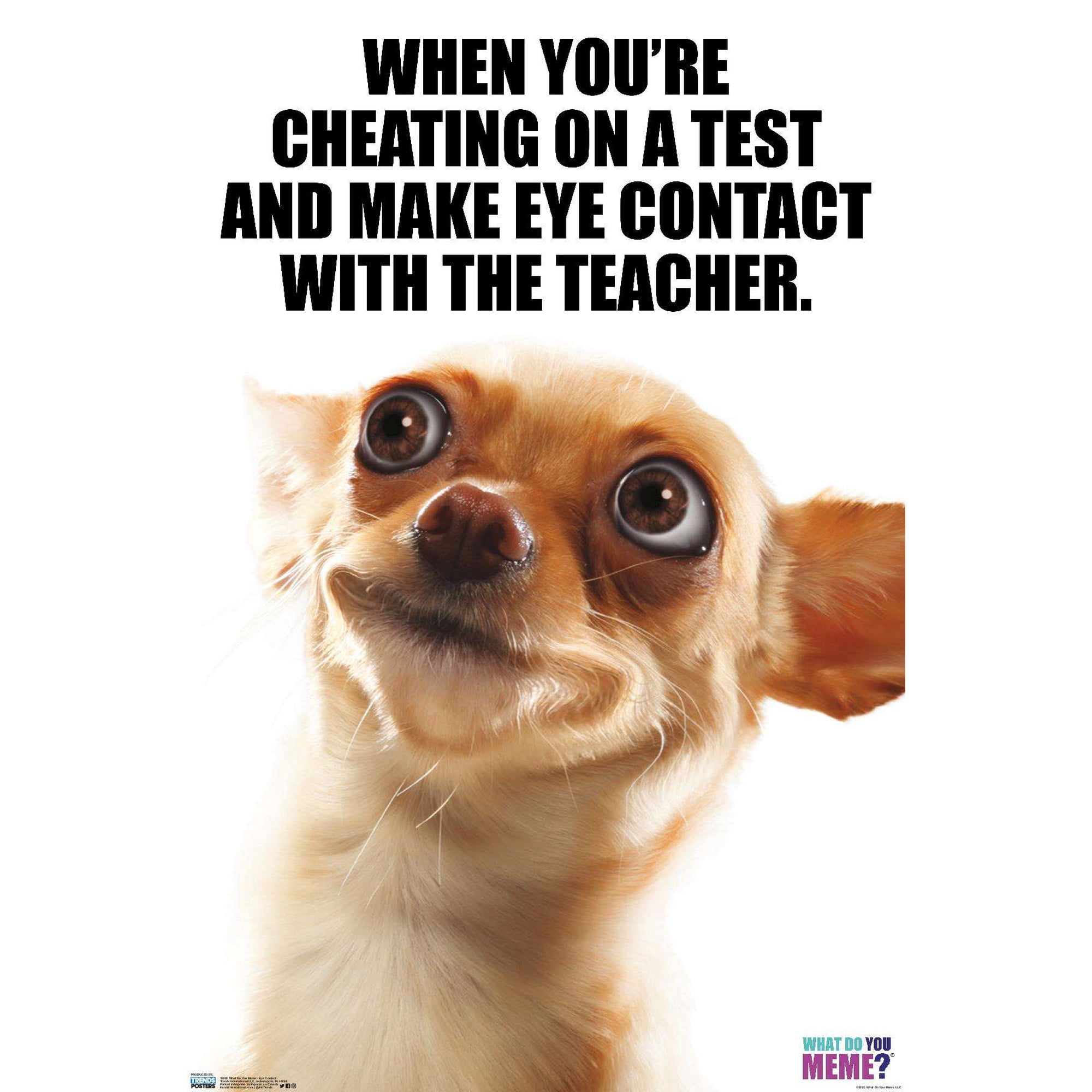 Eye Contact Meme