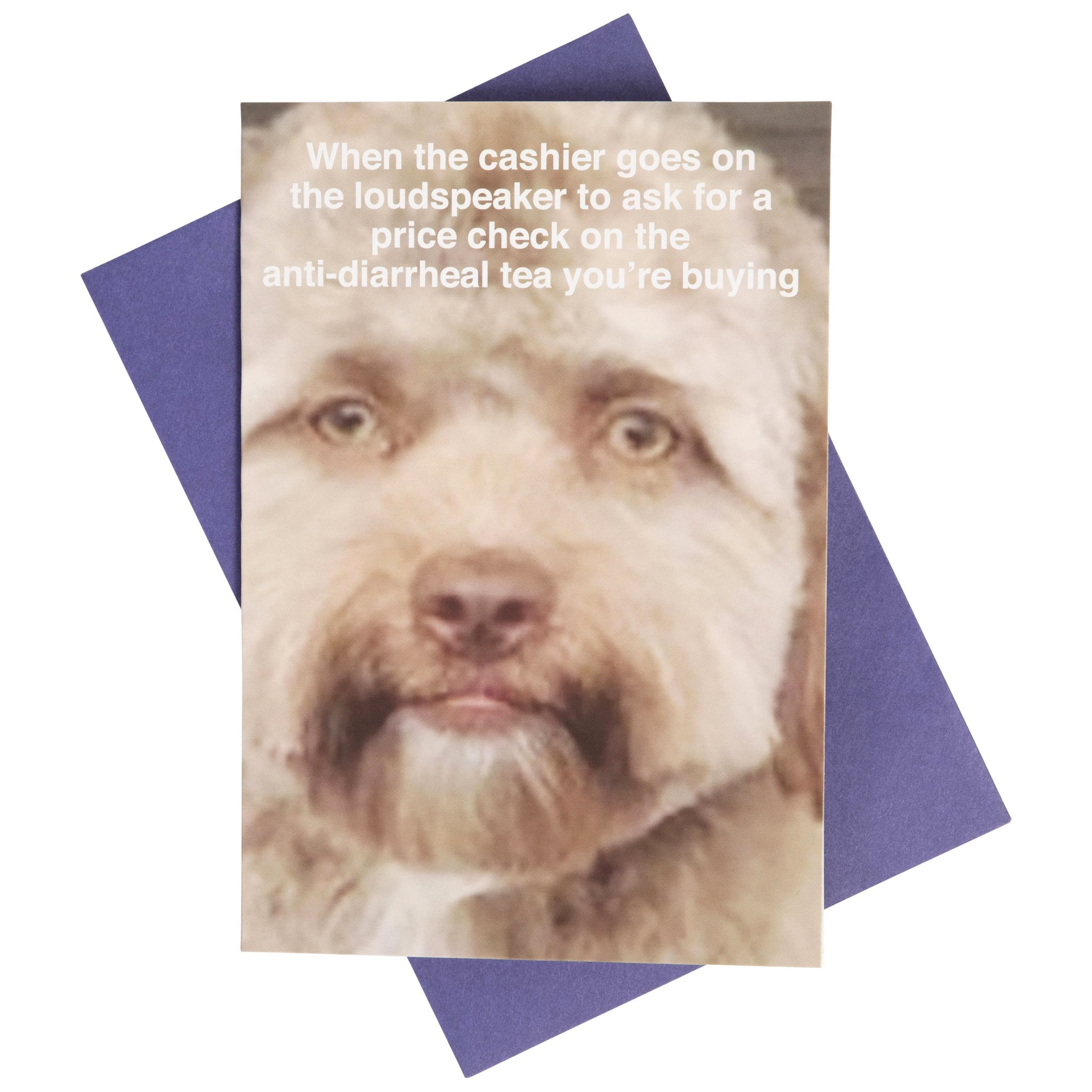 What Do You Meme?® Greeting Card - Get Well Card (Embarrassing Price ...