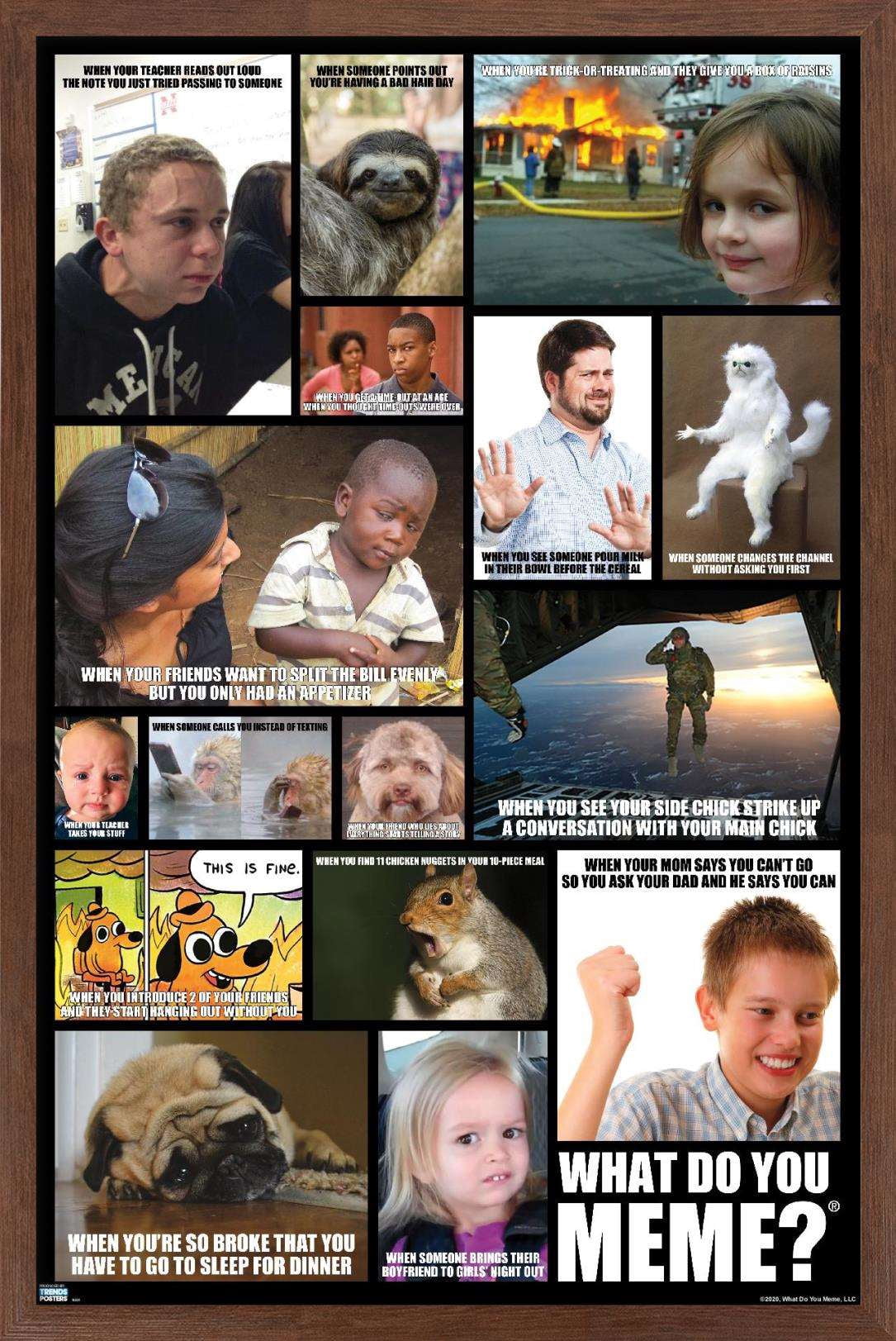 What Do You Meme - Grid Wall Poster, 14.725" x 22.375", Framed ...