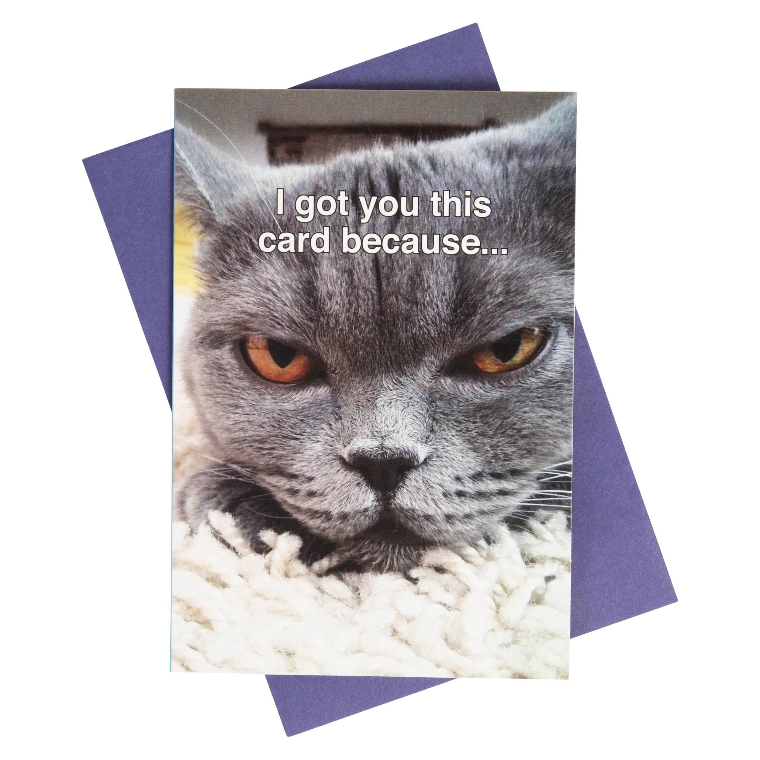 What Do You Meme?® Just Because Card (Cat Checkbox) - Walmart.com