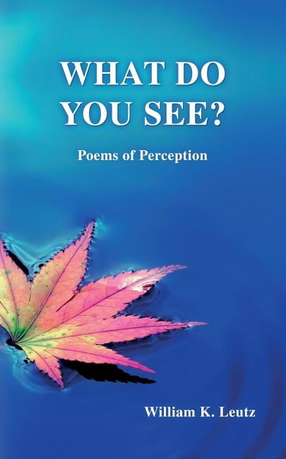 What Do You See? : Poems of Perception (Paperback) - Walmart.com