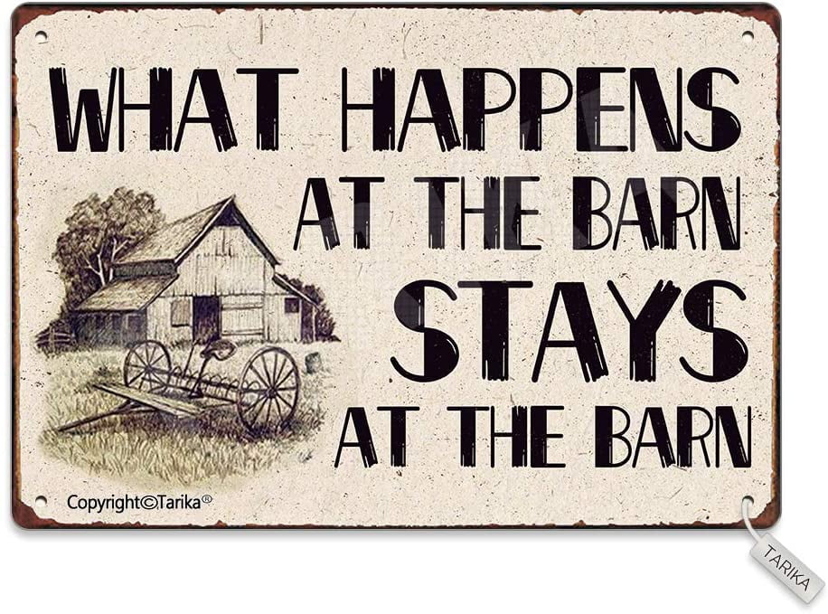 What Happens in The Barn Stays in The Barn Metal Retro Look 8X12 Inch ...