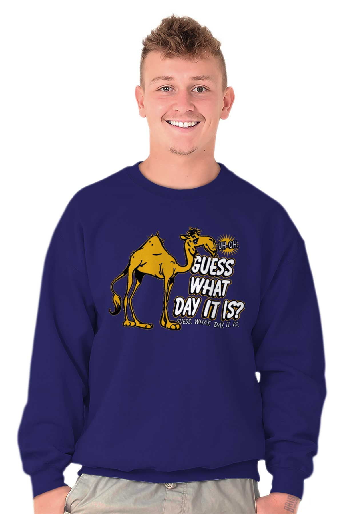 What Hump Day Wednesday Camel Funny Unisex Plus Size Sweatshirt Brisco ...