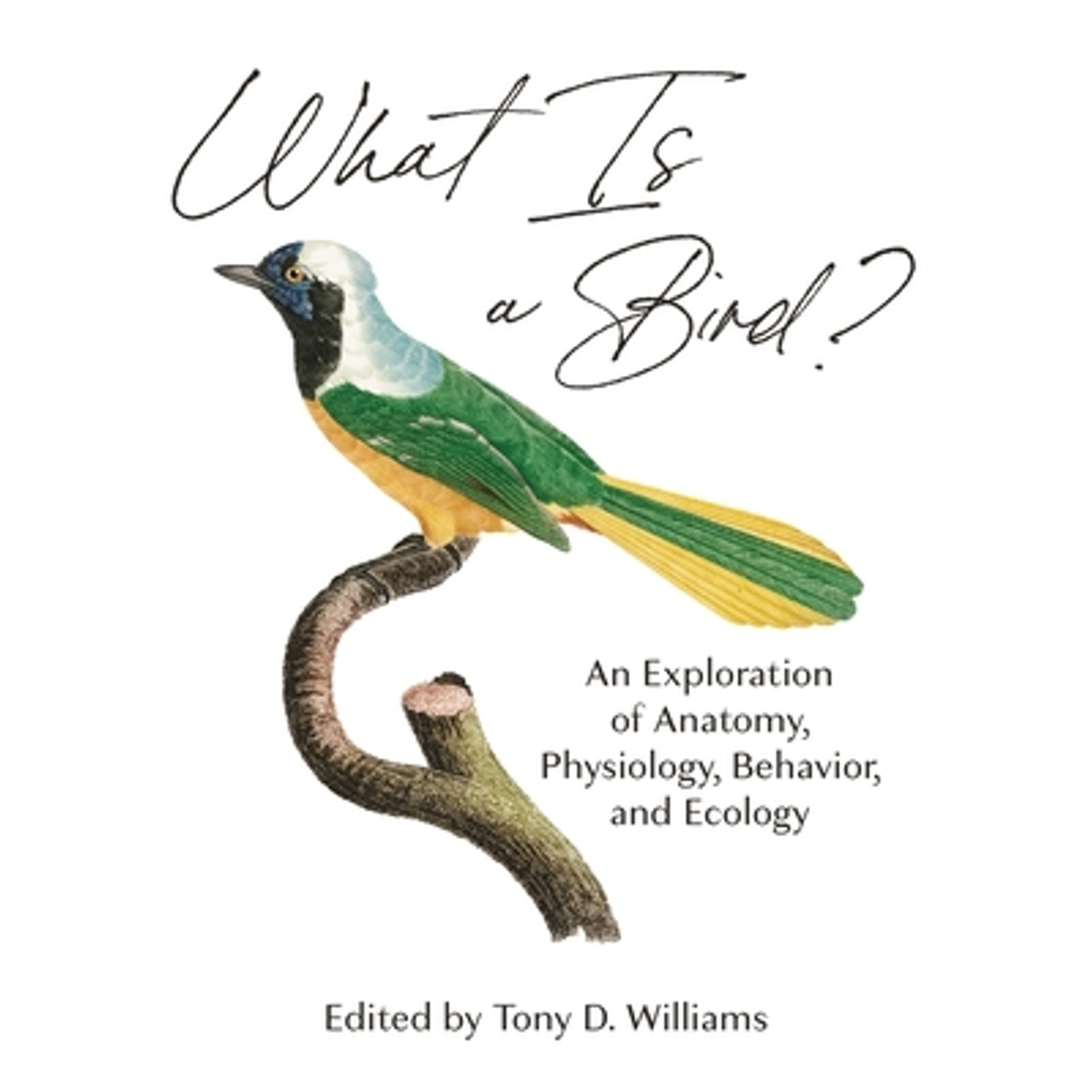 Bird Anatomy
