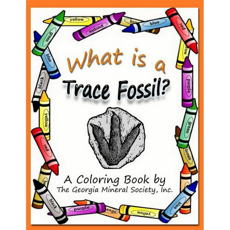 mineral coloring book