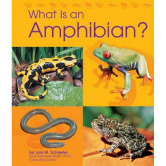 Pre-Owned What Is an Amphibian? (Hardcover) 0736808639 9780736808637 ...