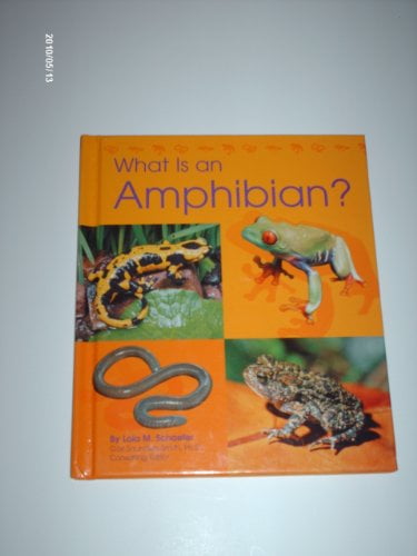 Pre-Owned What Is an Amphibian? (Hardcover) 0736808639 9780736808637 ...