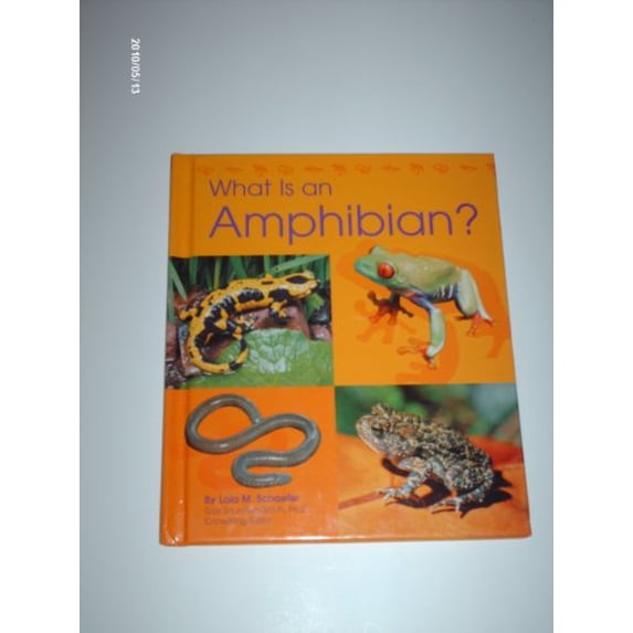 Pre-Owned What Is an Amphibian? (Hardcover) 0736808639 9780736808637 ...