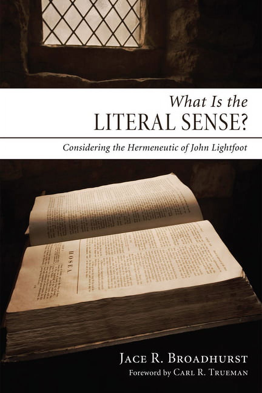 What Is the Literal Sense? (Hardcover) - Walmart.com