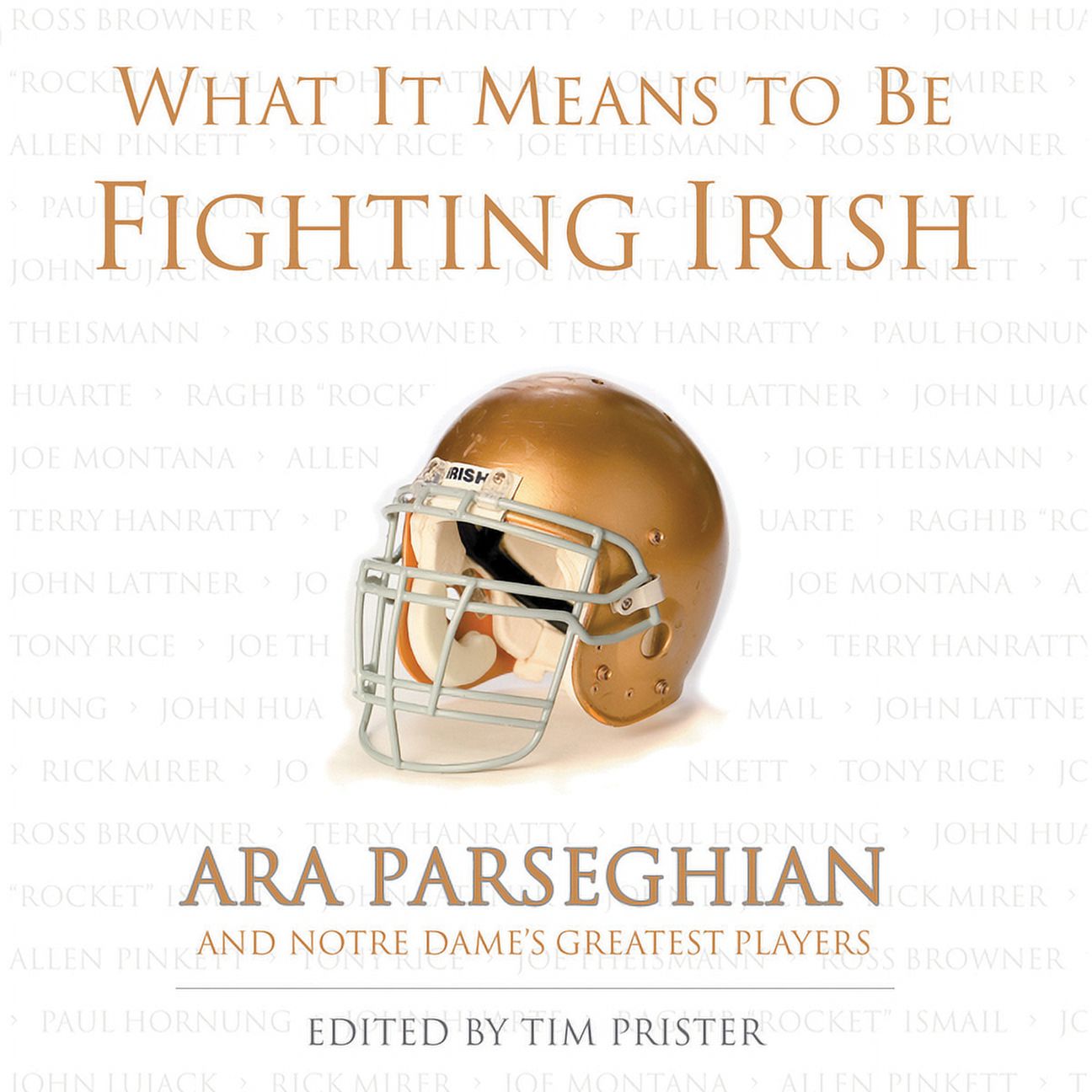 What It Means to Be: What It Means to Be Fighting Irish : Ara ...