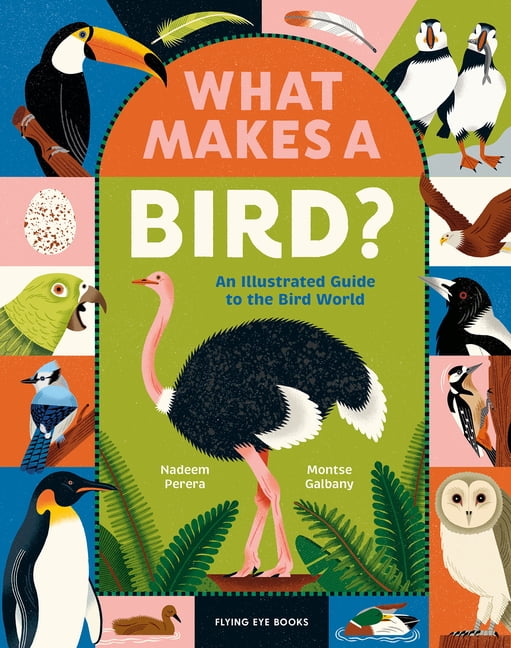 What Makes a Bird?: An Illustrated Guide to the Bird World, (Hardcover ...