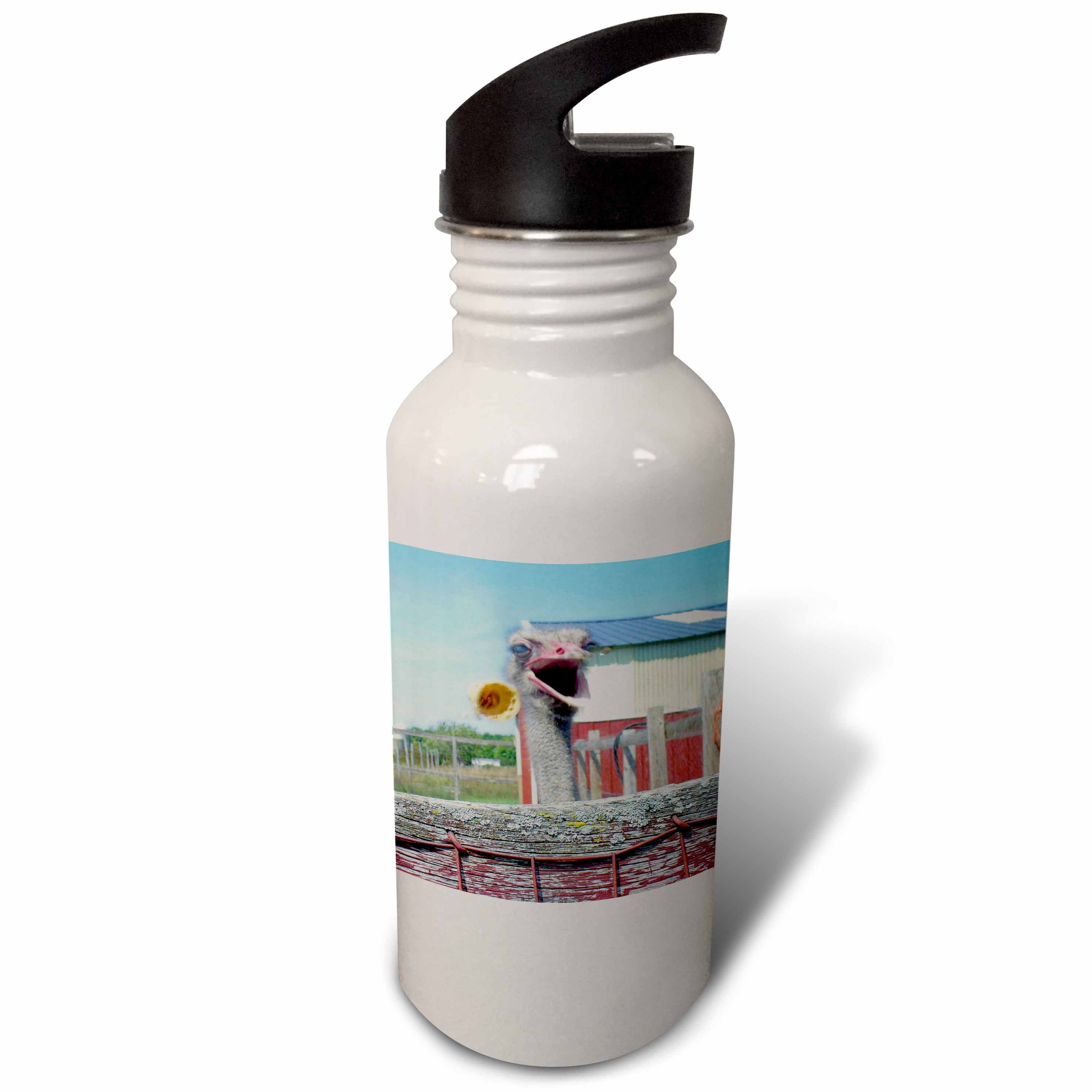 What No Ice Cream Ostrich 21 oz Sports Water Bottle wb-6060-1 - Walmart.com