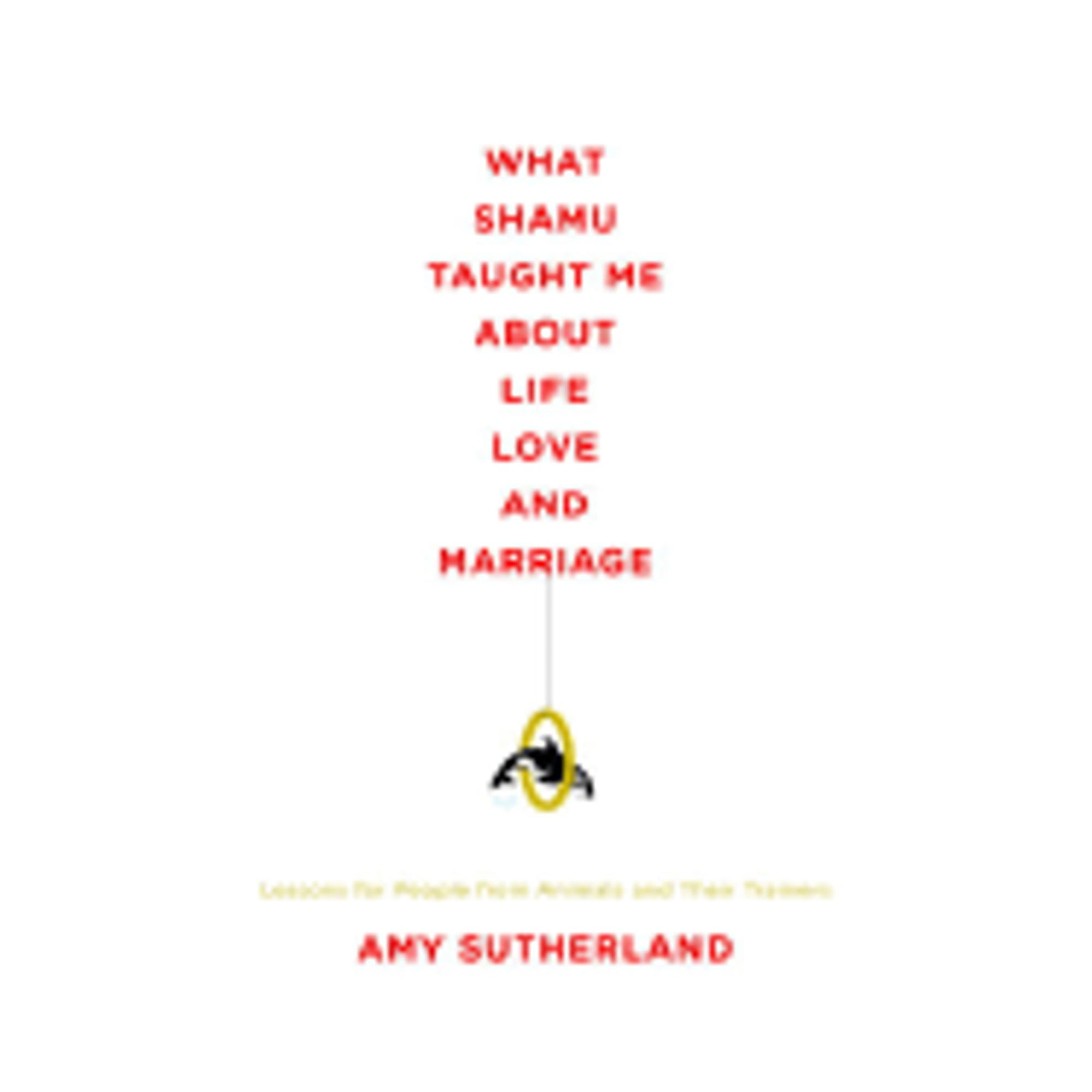 What Shamu Taught Me about Life, Love, and Marriage : Lessons for ...