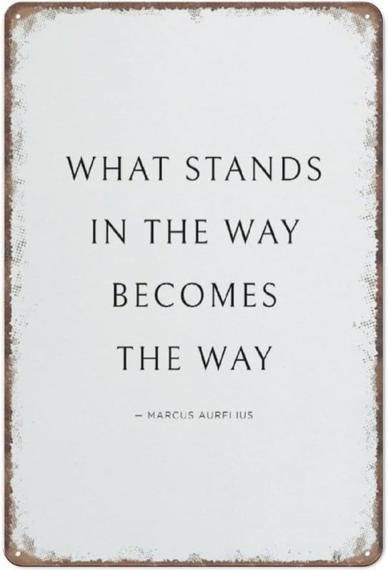 What Stands In The Way Becomes The Way,Stoic Quote,Stoic Reflection ...