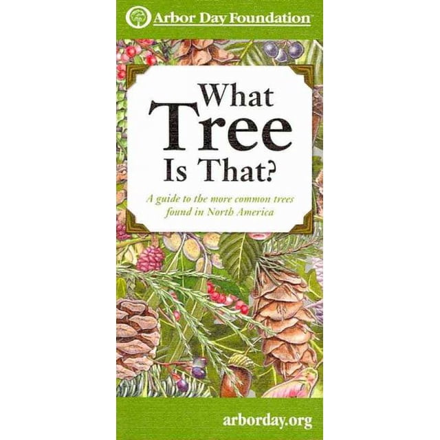 What Tree Is That?: A Guide to the More Common Trees Found in North ...
