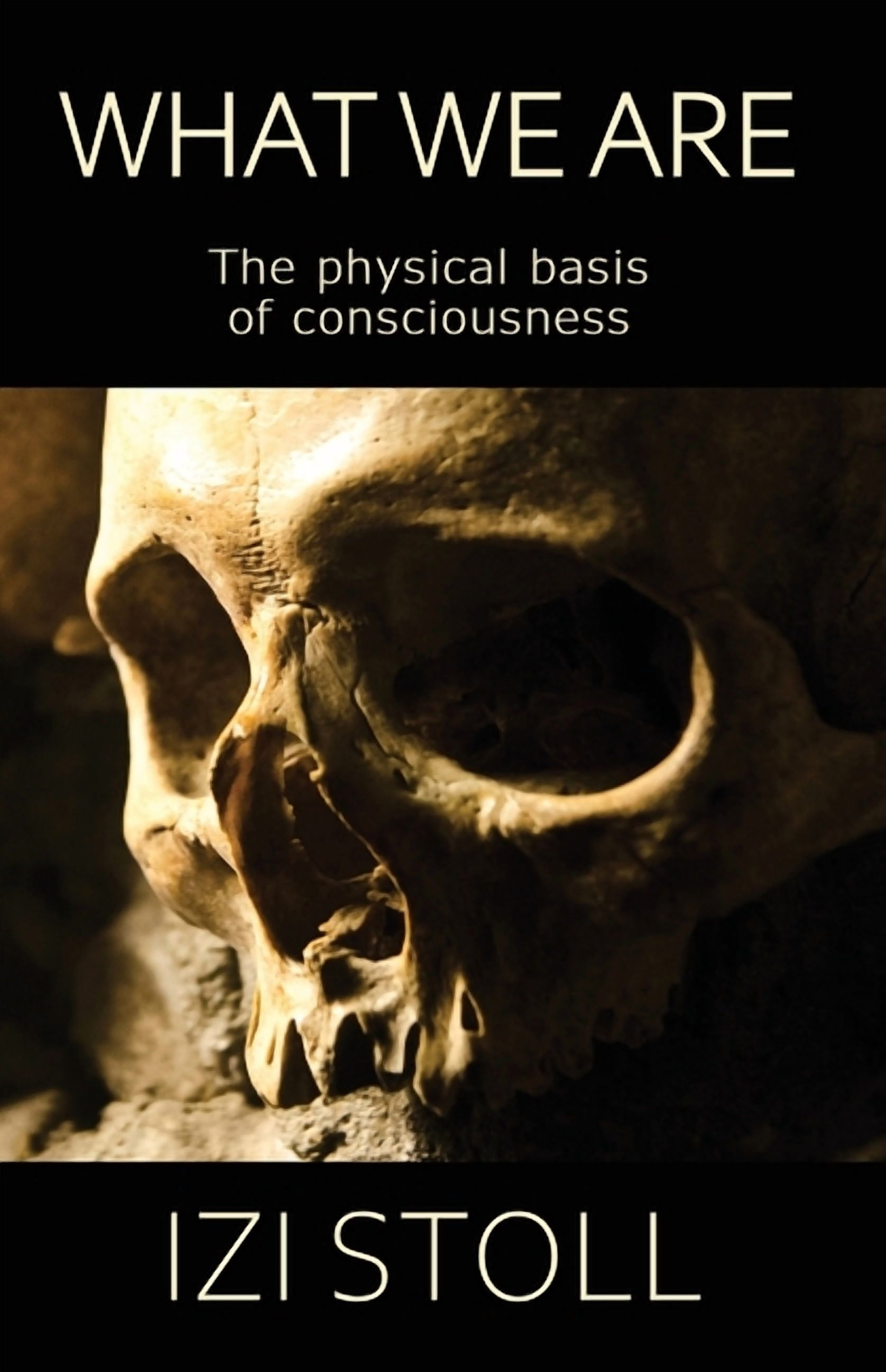 What We Are: The Physical Basis of Consciousness (Paperback) by Izi ...