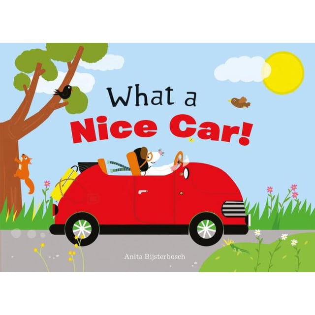 What a Nice Car! - Walmart.com