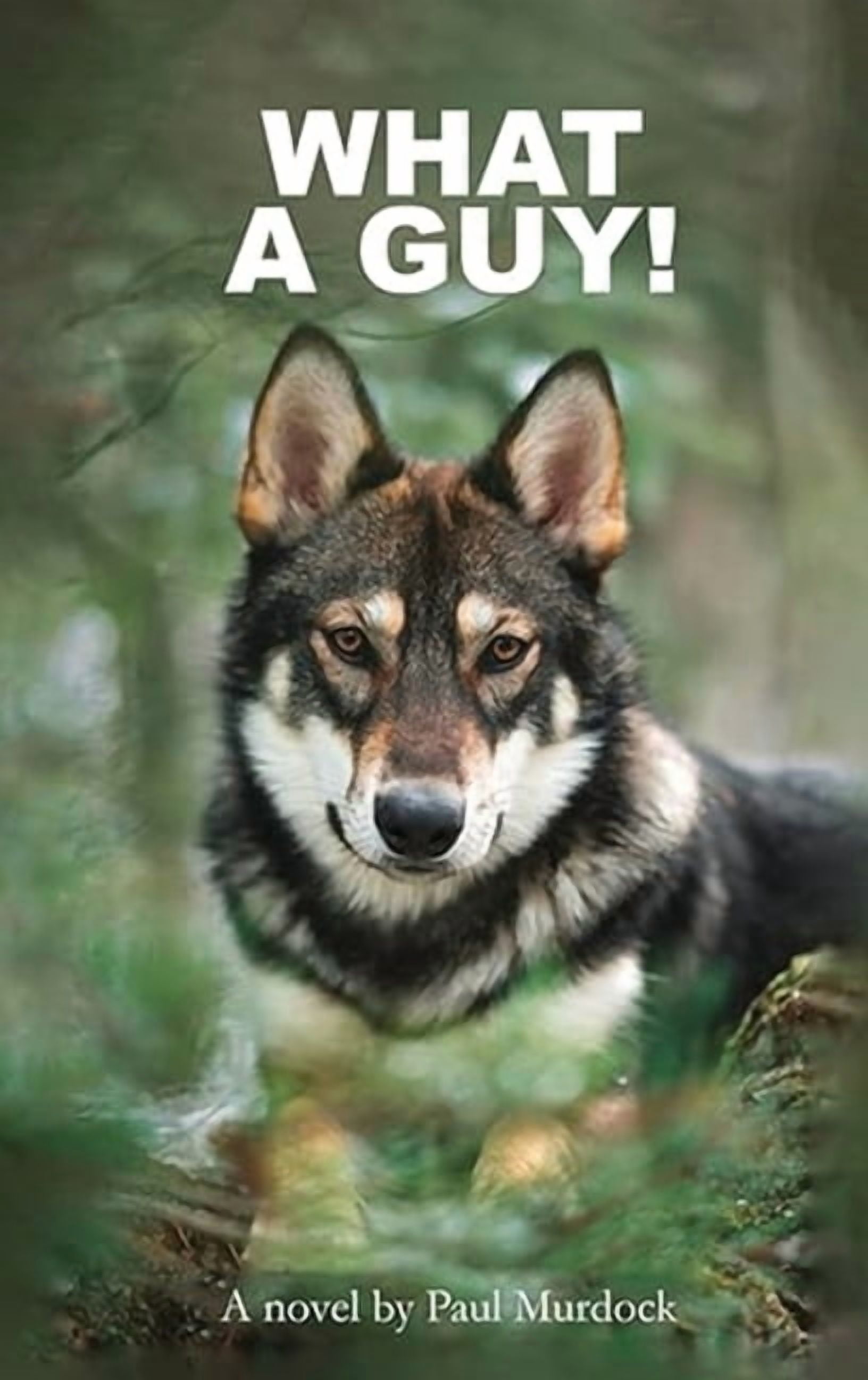 What a guy, (Hardcover) - Walmart.com