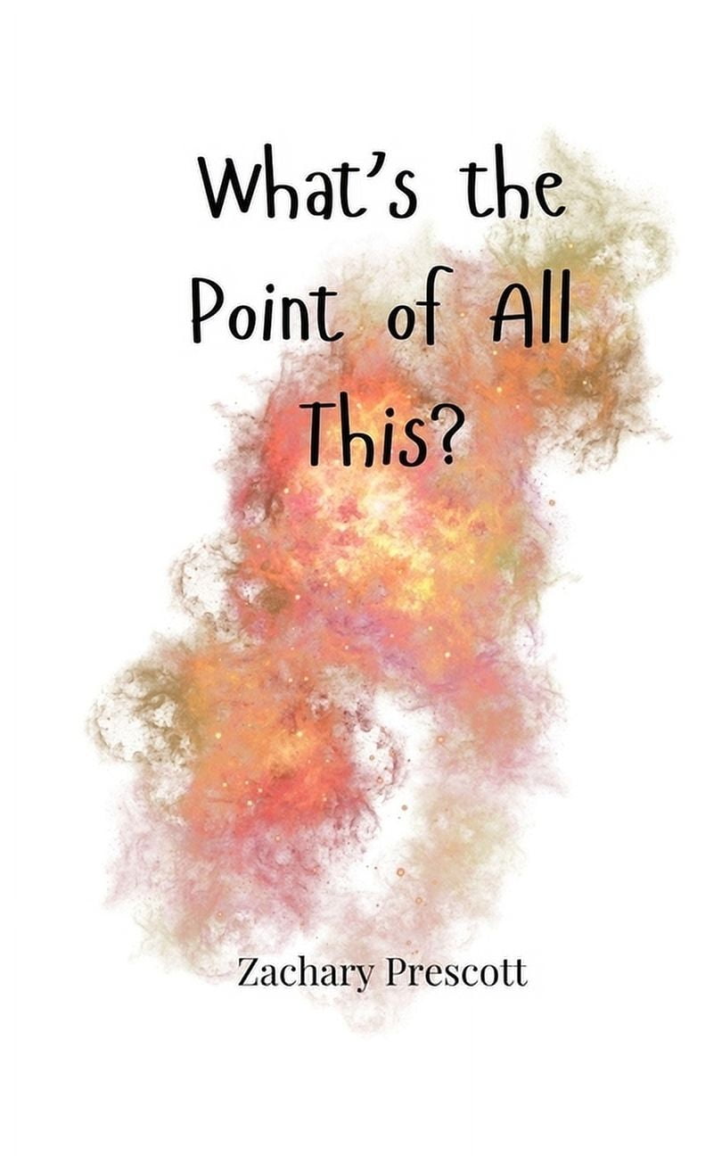What's the Point of All This?, (Paperback) - Walmart Business Supplies