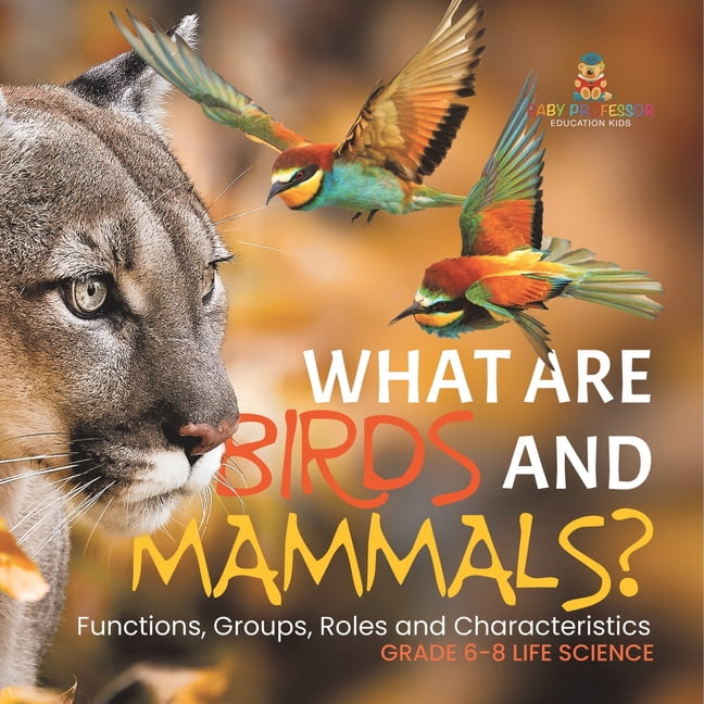 What are Birds and Mammals? Functions, Groups, Roles and ...