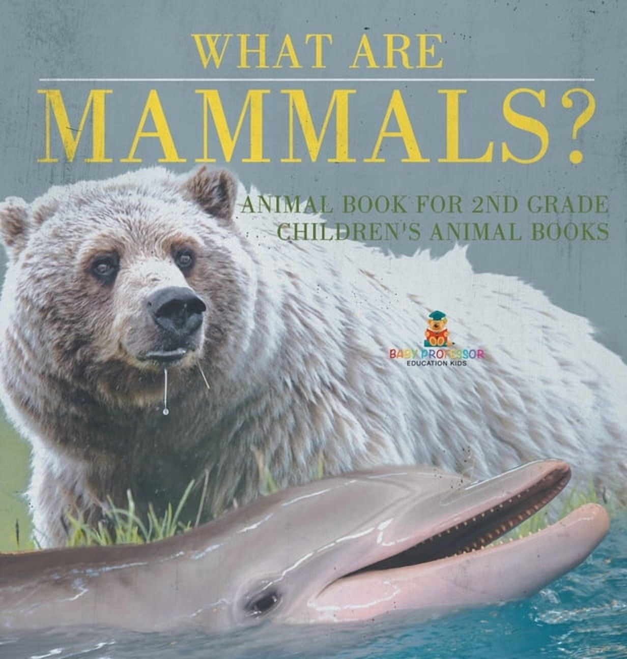 What are Mammals? Animal Book for 2nd Grade Children's Animal Books ...