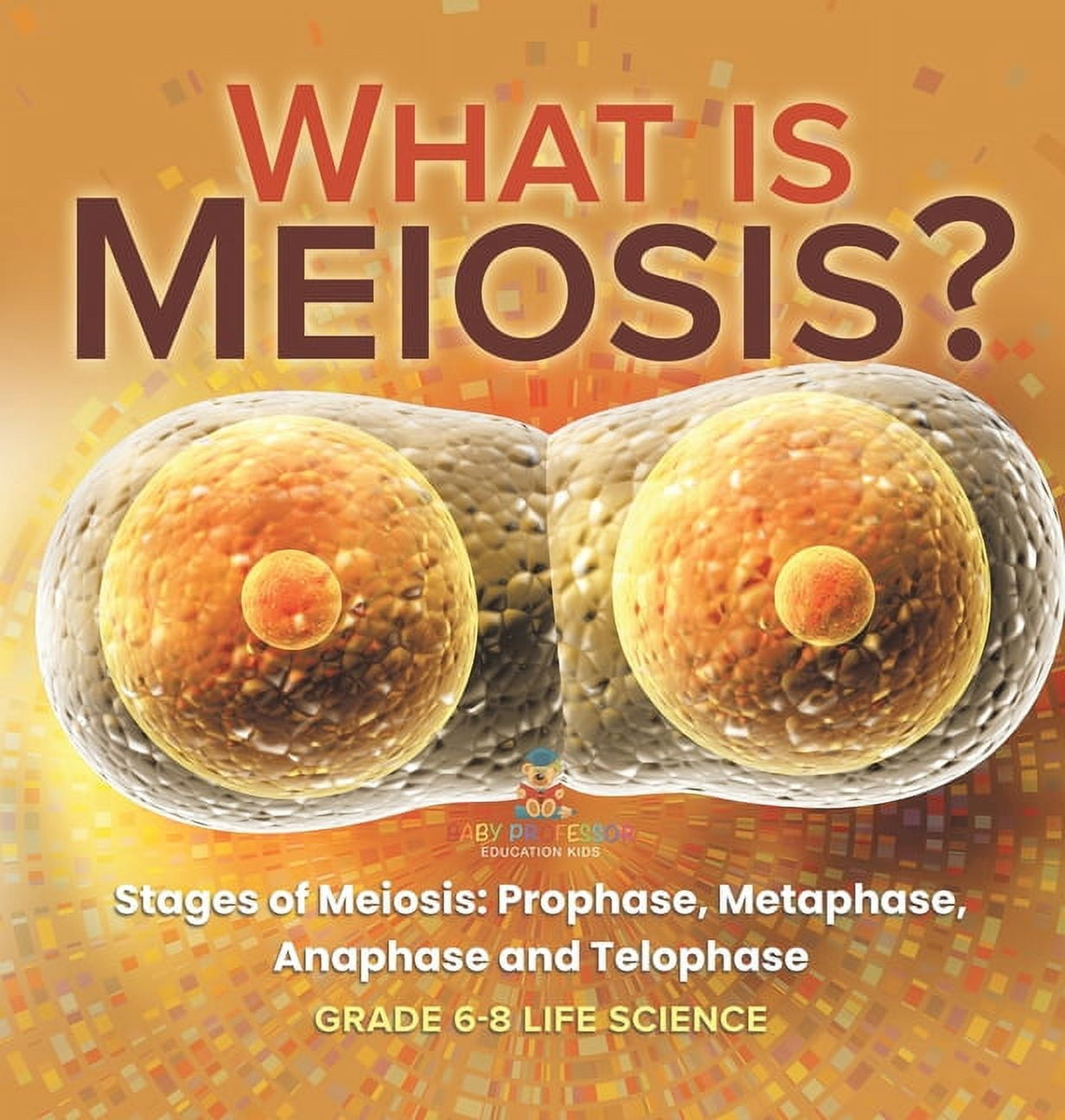 What is Meiosis? Stages of Meiosis, Prophase, Metaphase, Anaphase and ...
