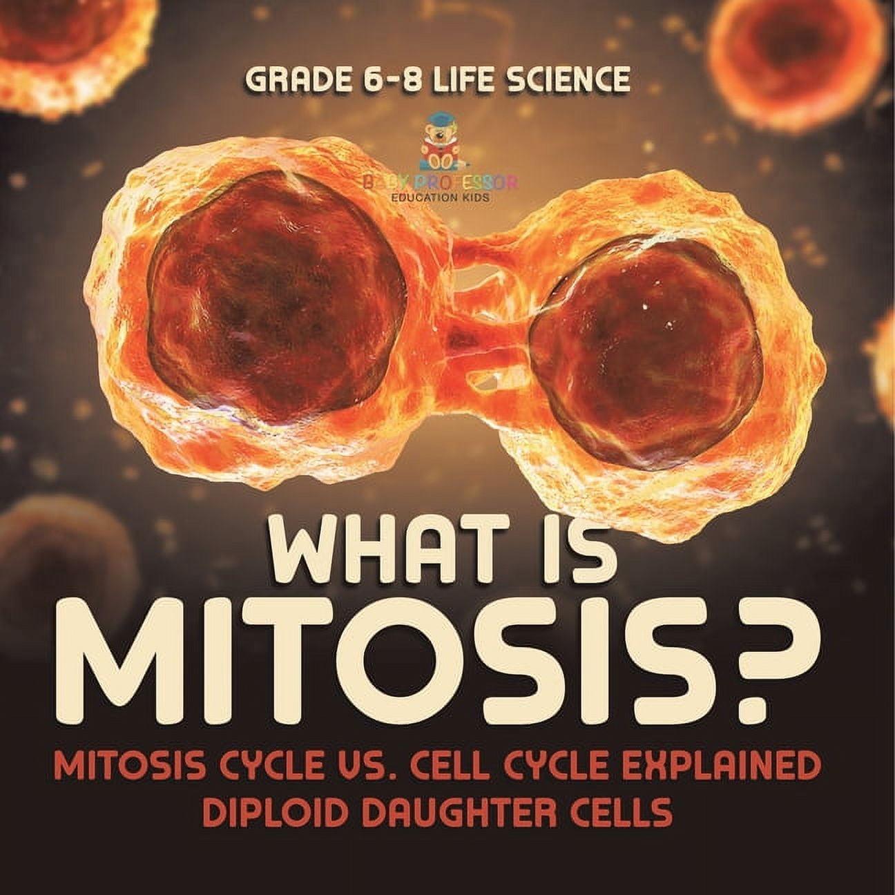 What is Mitosis? Mitosis Cycle vs. Cell Cycle Explained Diploid ...