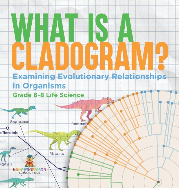 What is a Cladogram? Examining Evolutionary Relationships in Organisms ...