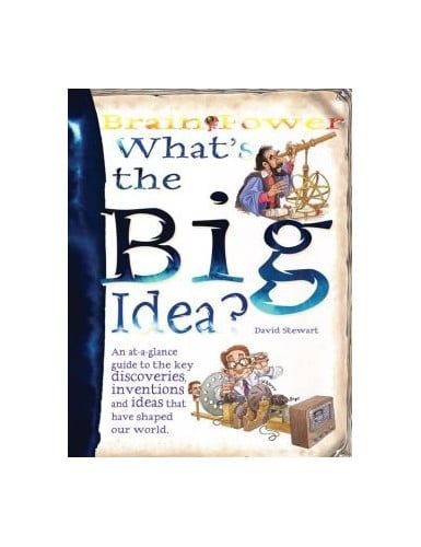 Pre-Owned Whats the Big Idea? Hardcover David Stewart - Walmart.com