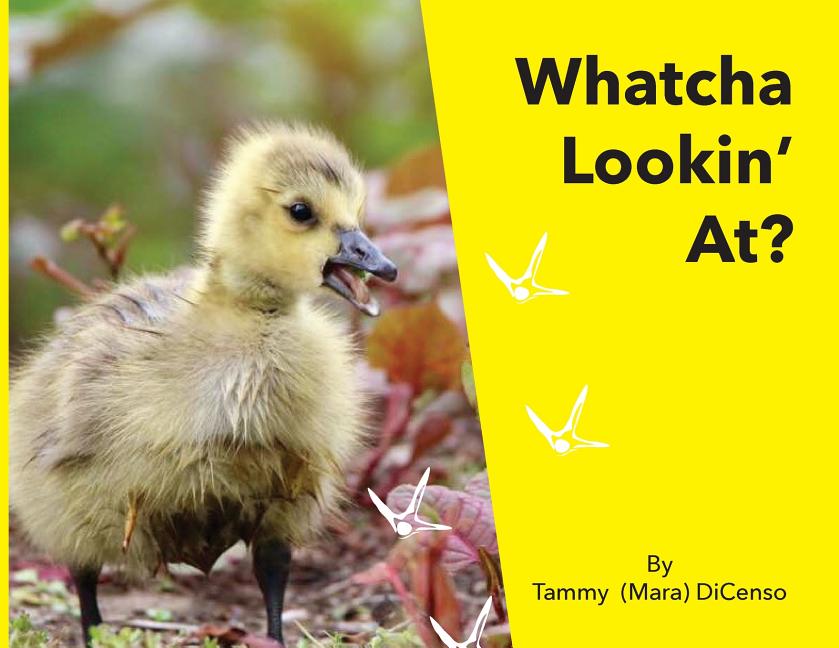 Whatcha Lookin' At? (Paperback) - Walmart.com