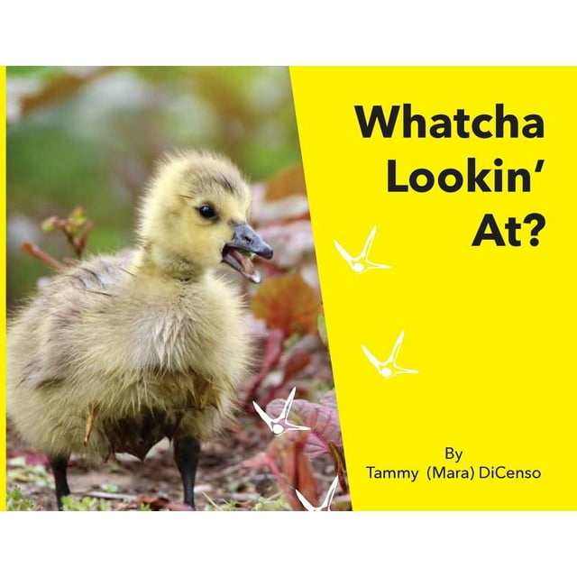 Whatcha Lookin' At? (Paperback) - Walmart.com