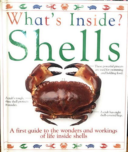 Pre-Owned Whats Inside? Shells Hardcover DK Publishing - Walmart.com