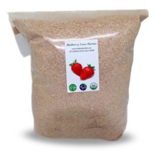 Whole Wheat Berries