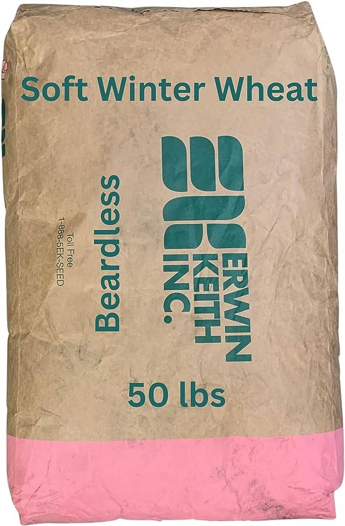 Evergreen Farm and Garden Beardless Soft Winter Wheat Grain, Whole Seed ...