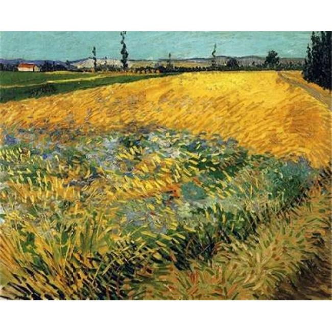 Wheatfield 1888 Poster Print by Vincent Van Gogh - Small - Walmart.com