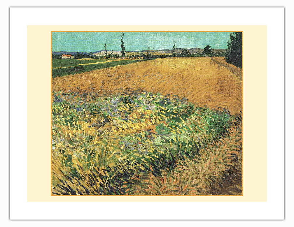 Wheatfield - Arles, France - From an Original Color Painting by Vincent ...