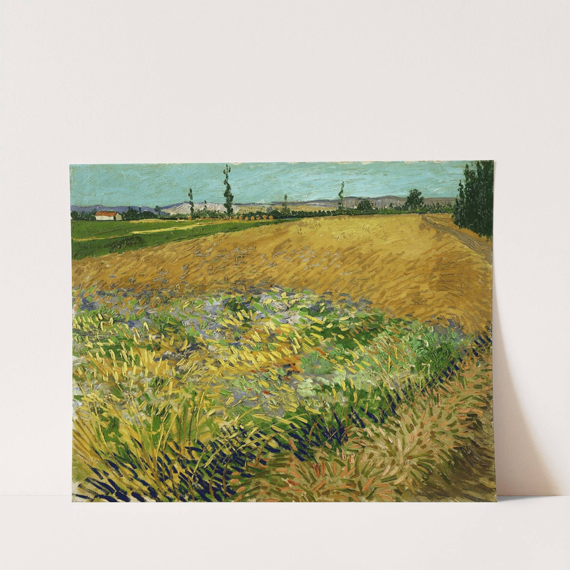 Wheatfield - Vincent Van Gogh Artwork - livingroom bedroom office ...