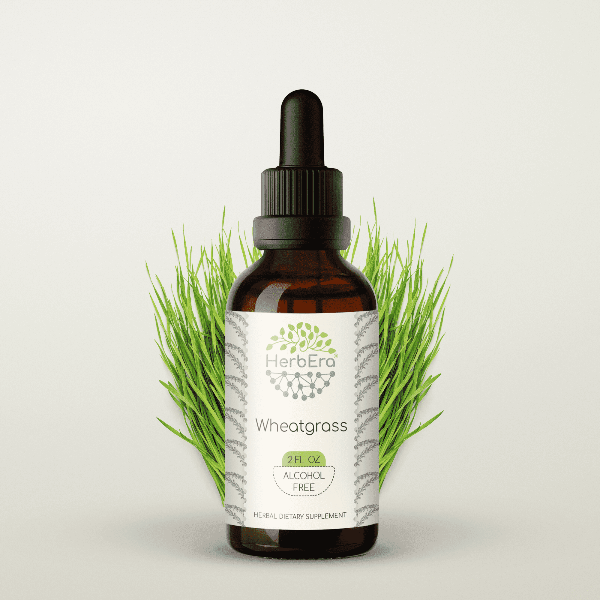 HerbEra Wheatgrass Tincture, Herbal Dietary Supplement for Detox ...