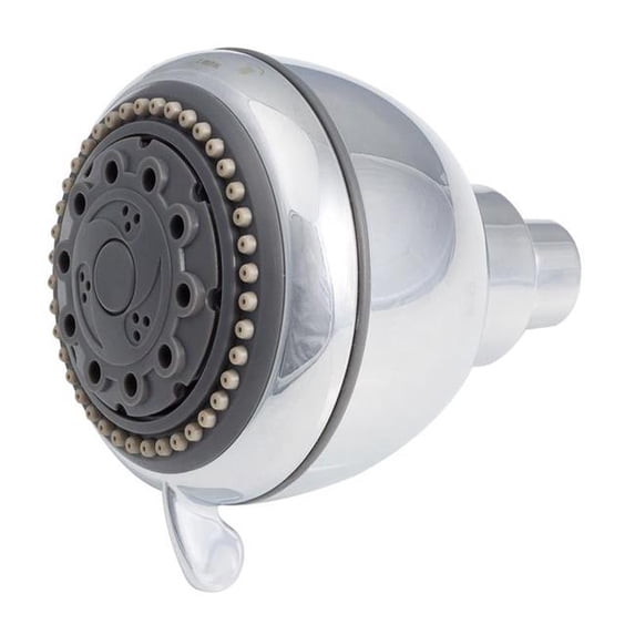 Whedon 4026960 2 GPM Champagne Massage Polished Chrome Plastic 5 ...