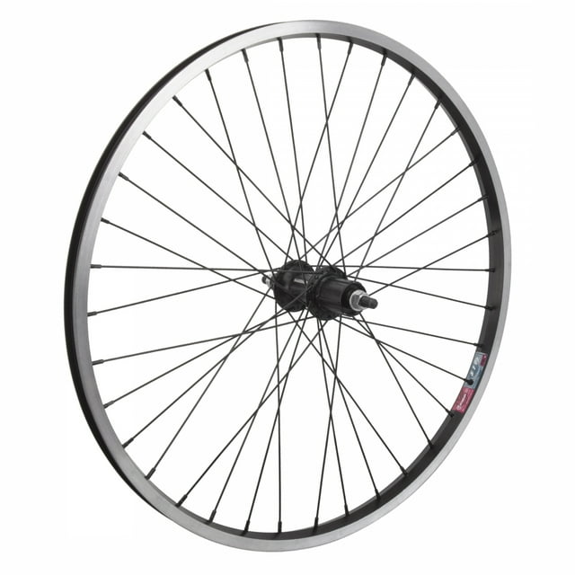 Wheel Master 24 Inch Alloy Mountain 24in RR Weinmann 519 Rim Brake 8-10 ...