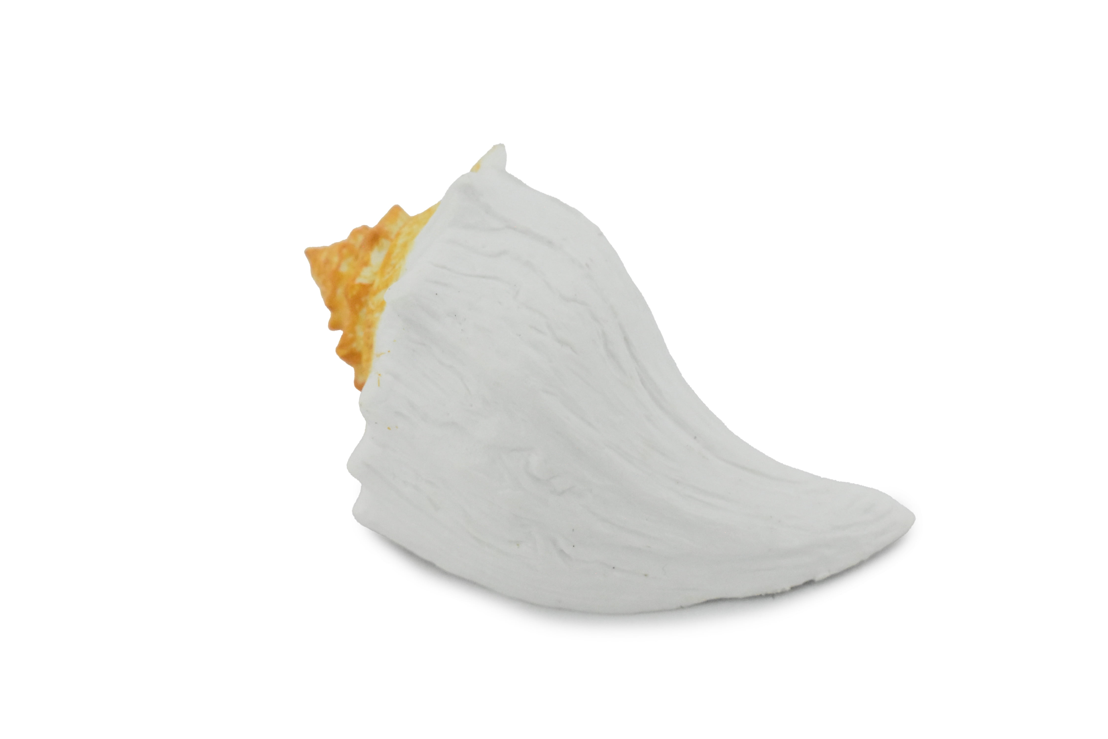 Whelk Shell Toy, Carnivorous Sea Snail, Shell, Ocean, Sea Life, Plastic ...