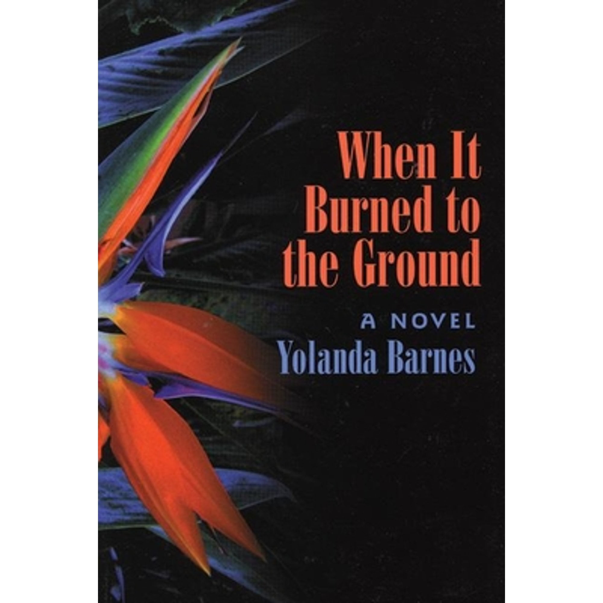 Pre-Owned When It Burned to the Ground (Paperback 9781932511185) by ...
