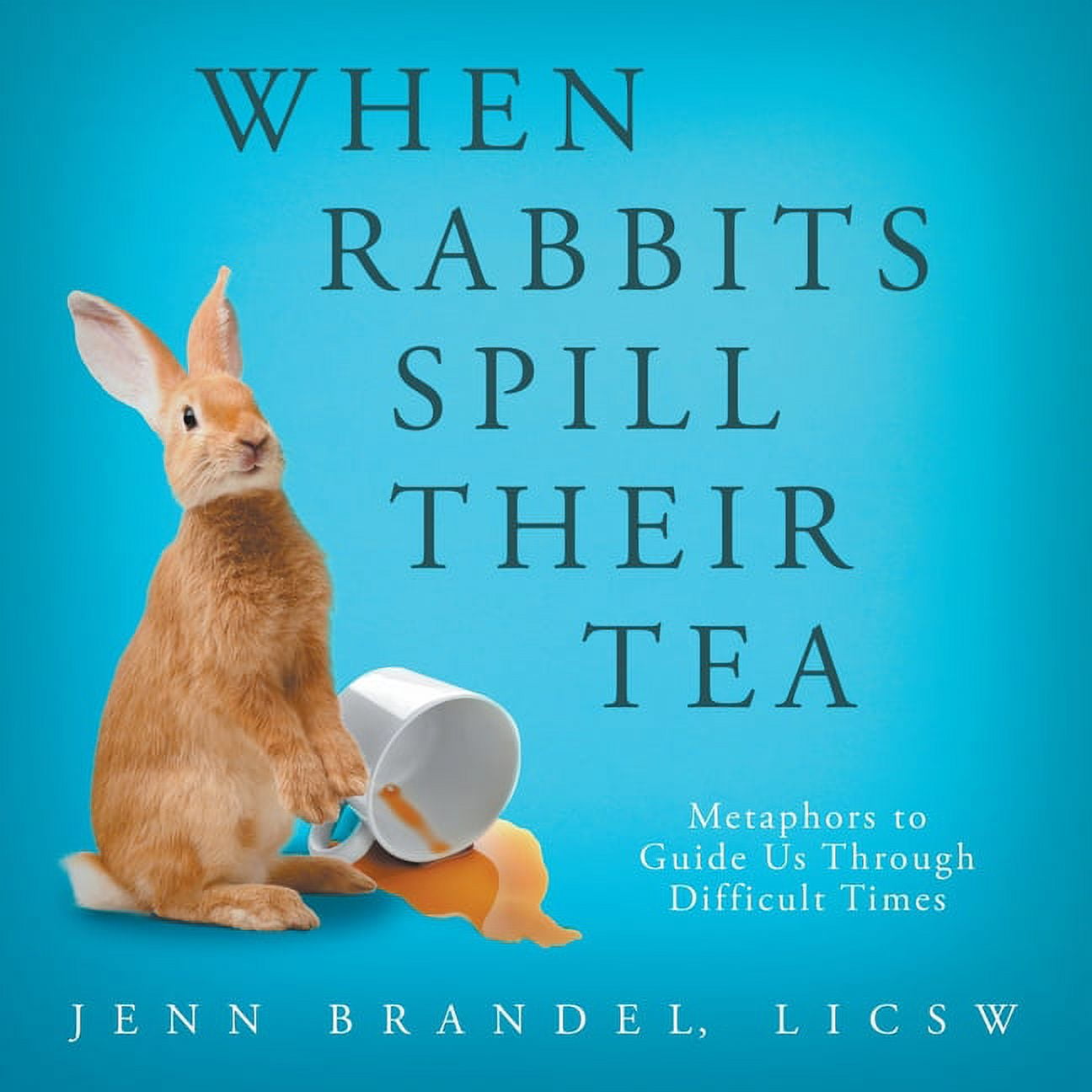 When Rabbits Spill Their Tea: Metaphors to Guide Us Through Difficult ...