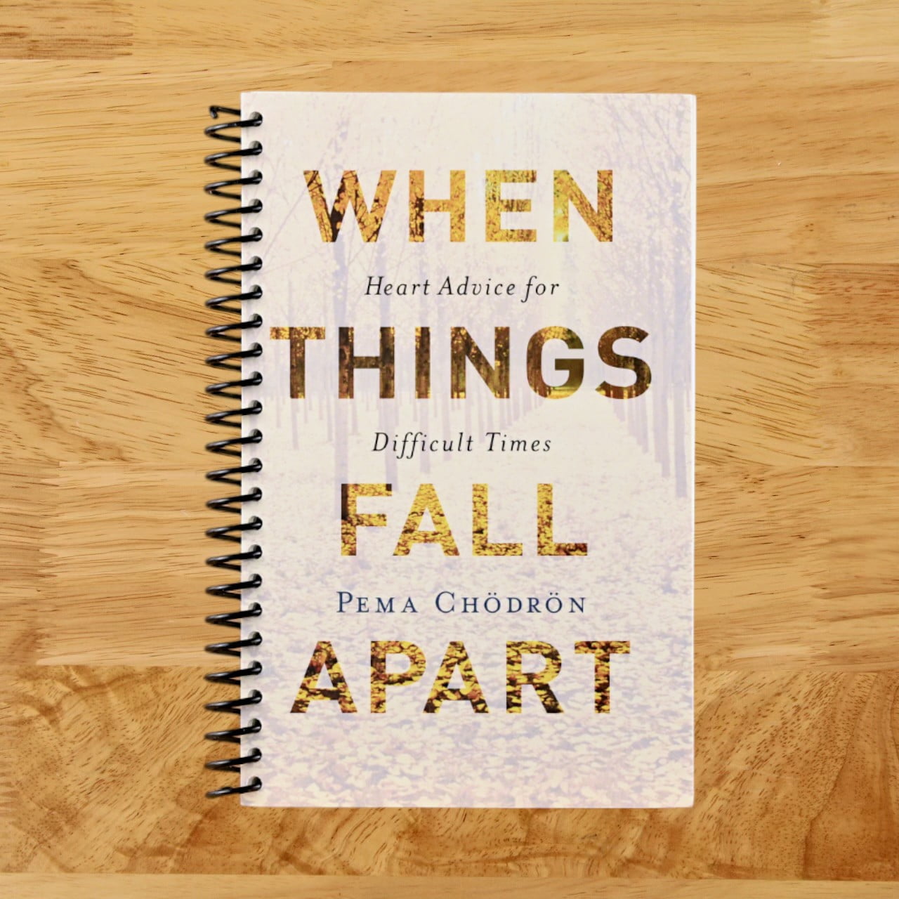 When Things Fall Apart: Heart Advice for Difficult Times, (Spiral Bound ...