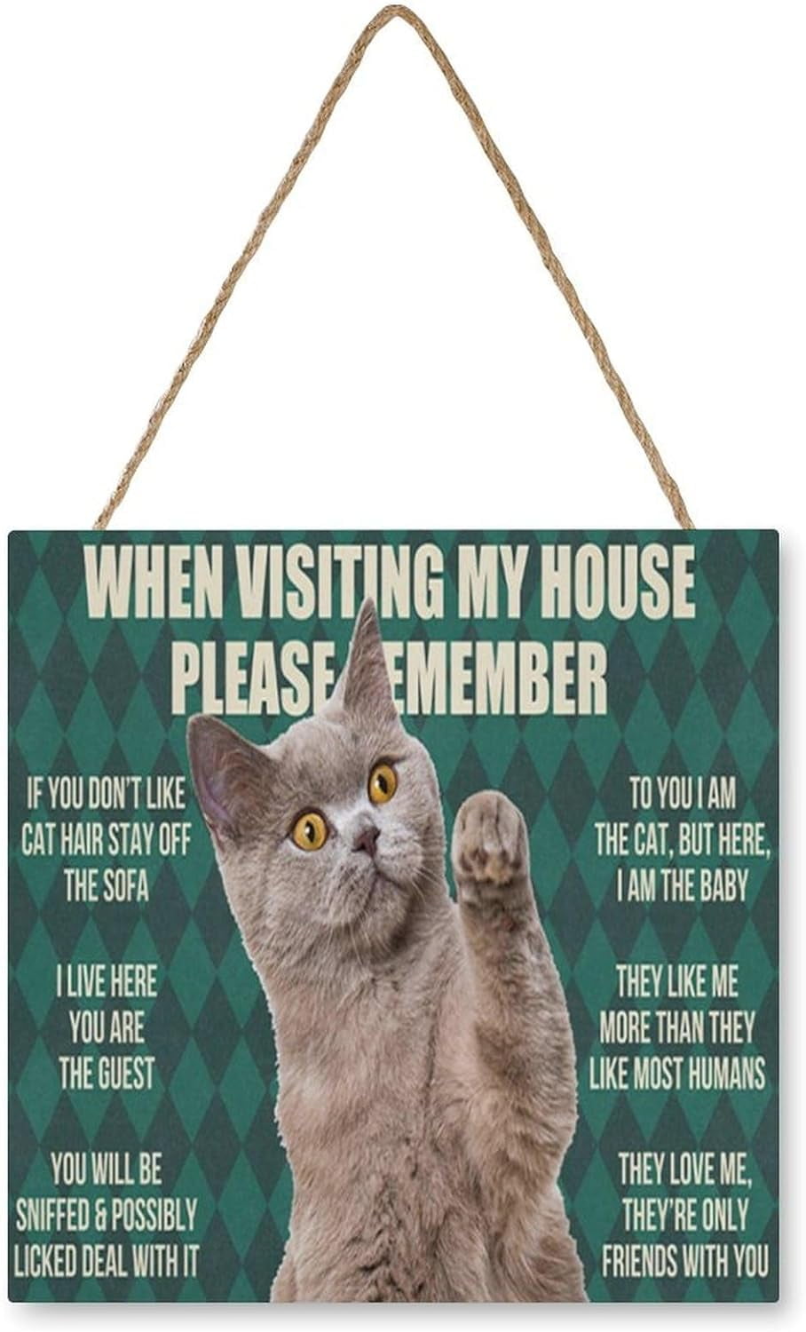 When Visiting My House Cat Wood Sign Plaque Funny Cat Sign When ...
