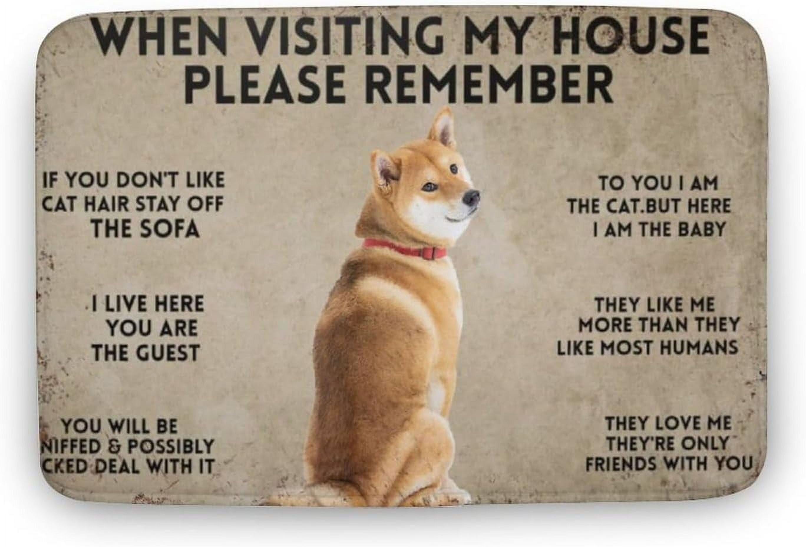 When Visiting My House Please Remember Dog Funny Dog Doormat Welcome ...