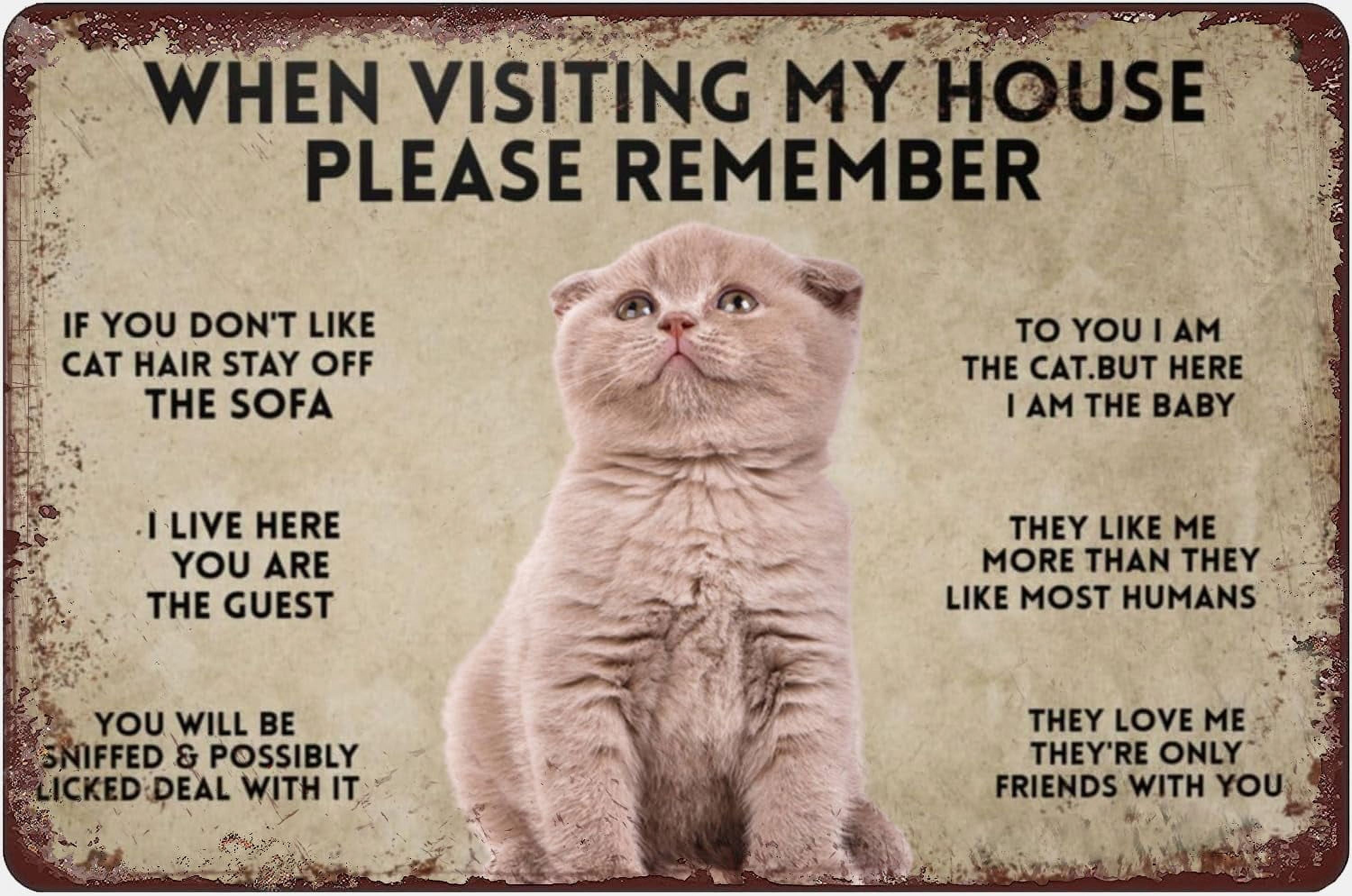 When Visiting My House Please Remember Tin Signs Cat Decor Vintage ...