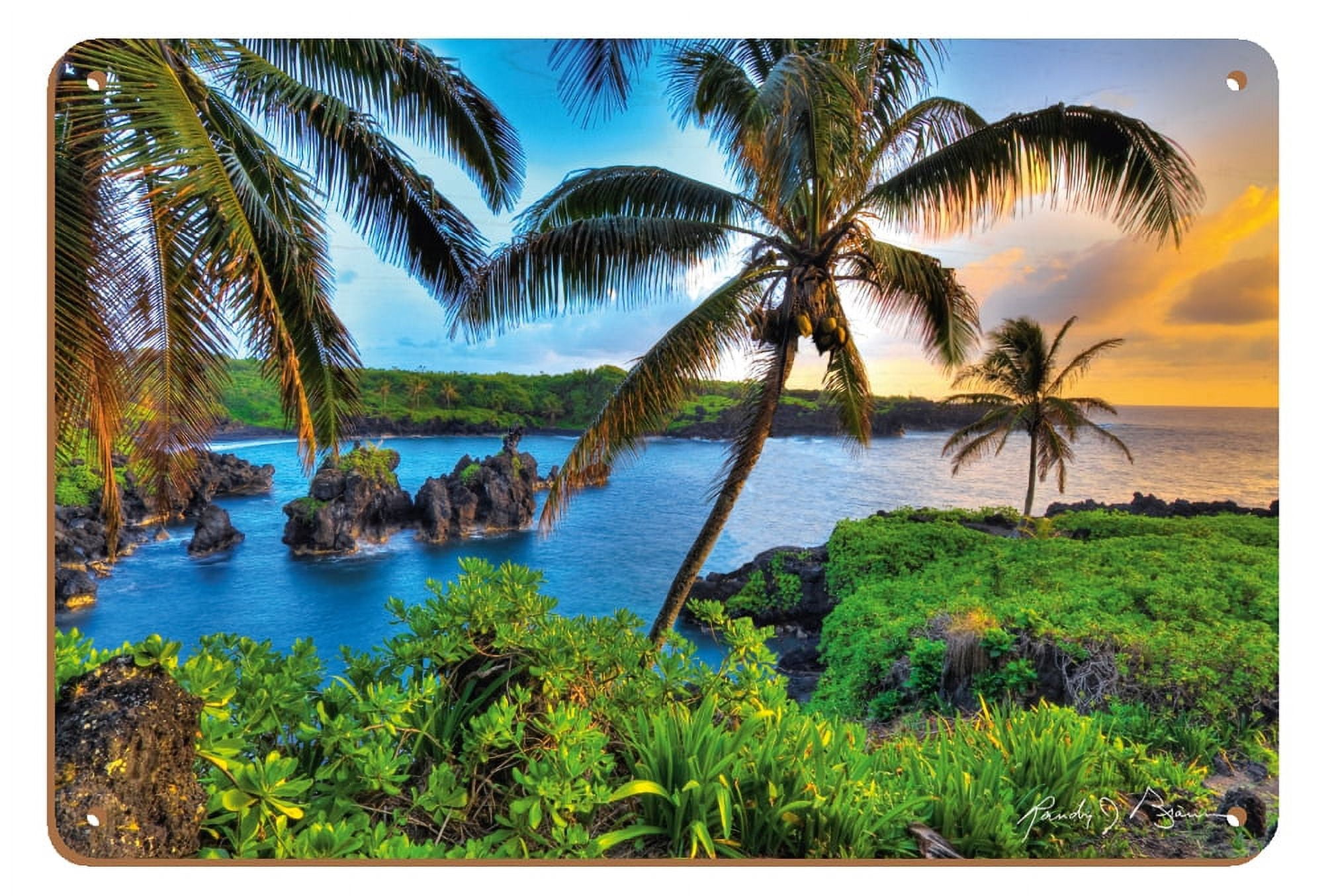 Where Da Coconuts Grow - Hana Hawai’i - From an Original Color ...