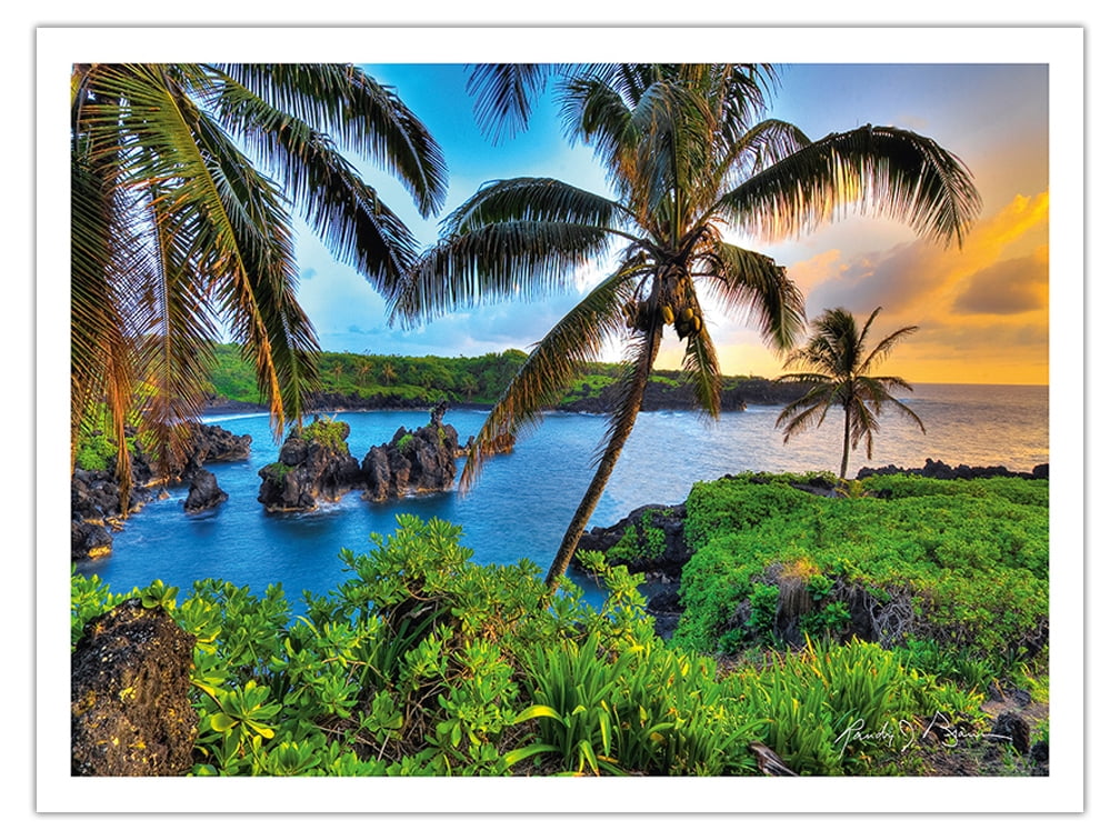 Where Da Coconuts Grow - Hana Hawai’i - From an Original Color ...